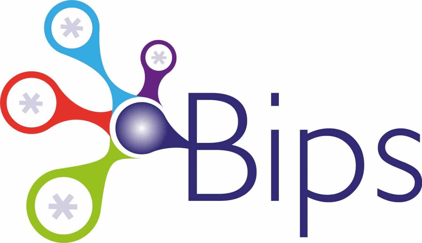 BIPS, réseau haut débit | GCS e-Santé Bretagne