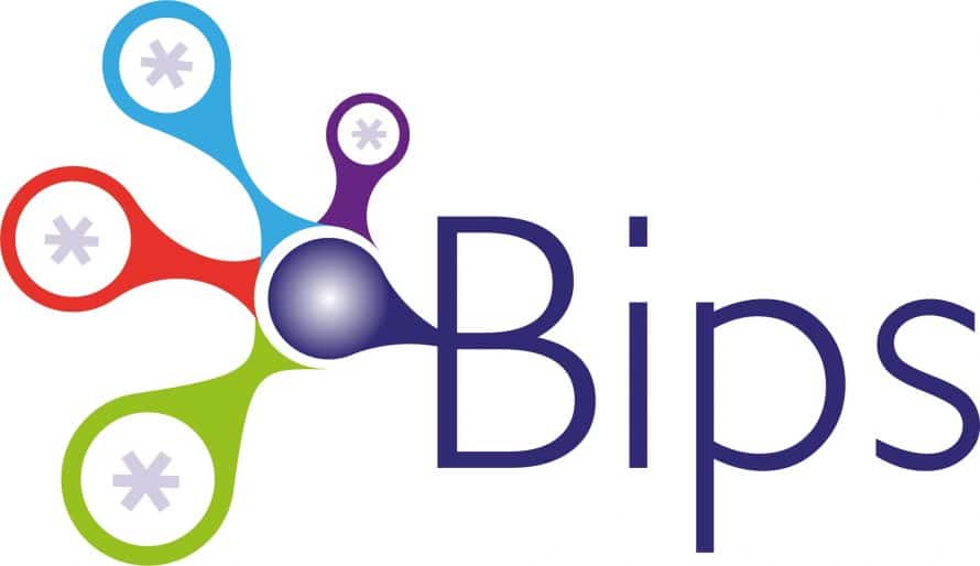 BIPS, réseau haut débit | GCS e-Santé Bretagne